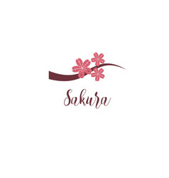 Sakura template design Royalty Free Vector Image