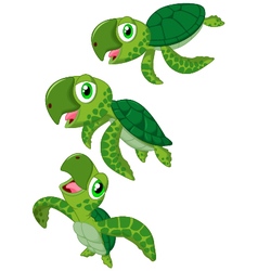 Cartoon turtle hides in its shell Royalty Free Vector Image