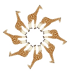 Giraffe in love Royalty Free Vector Image - VectorStock