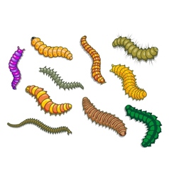 Cartoon worms Royalty Free Vector Image - VectorStock