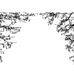 Tree branches frame Royalty Free Vector Image - VectorStock