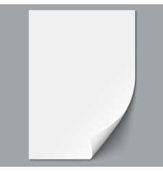 Two empty paper sheets Royalty Free Vector Image