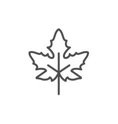 Maple leaf line icon Royalty Free Vector Image