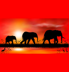 Savanna animals on a background a sunset sun Vector Image