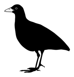 Black silhouette corncrake Royalty Free Vector Image