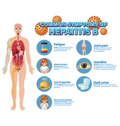 Informative poster of common symptoms hepatitis b Vector Image