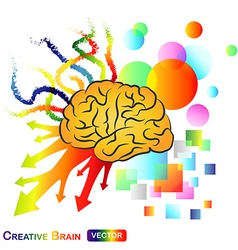 Brain Royalty Free Vector Image - VectorStock