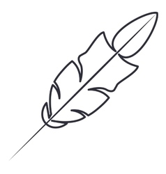 Isolated feather plume design Royalty Free Vector Image