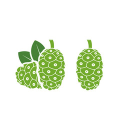 Noni fruit cartoon icon Royalty Free Vector Image
