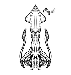 Fried squid Royalty Free Vector Image - VectorStock