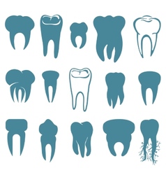 Realistic teeth types set Royalty Free Vector Image