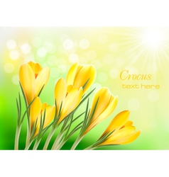 Nature yellow flower border Royalty Free Vector Image