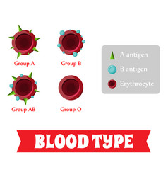 Cartoon red drops with blood type sign in hands Vector Image