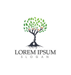 Shady tree logo Royalty Free Vector Image - VectorStock