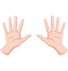 Human hands back and front Royalty Free Vector Image