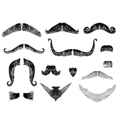 Moustaches Royalty Free Vector Image - VectorStock