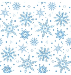 Winter pattern with various falling snowflakes Vector Image
