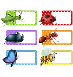 Cartoon Insects set Royalty Free Vector Image - VectorStock