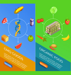 Genetically modified organisms isometric banners Vector Image