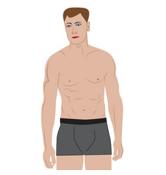 Male body template front Royalty Free Vector Image