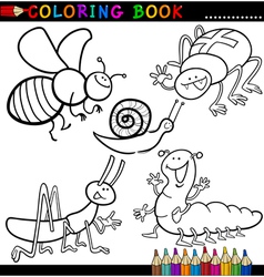 Insects and bugs for coloring book Royalty Free Vector Image