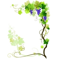 Vine nature frame Royalty Free Vector Image - VectorStock