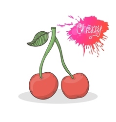 Two beautiful raspberries on a white background Vector Image