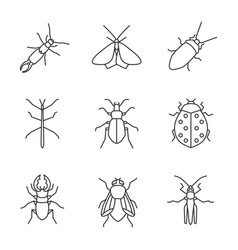 Insects line icons Royalty Free Vector Image - VectorStock