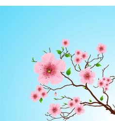 Spring in pink Royalty Free Vector Image - VectorStock