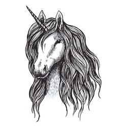Unicorn mystic magic horse animal sketch Vector Image