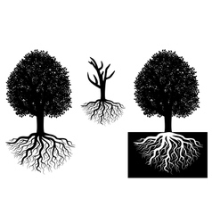 Isolated tree with roots Royalty Free Vector Image