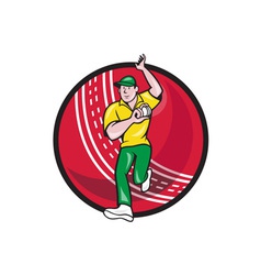 Cricket ball man Royalty Free Vector Image - VectorStock