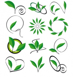 Leaves collection with names Royalty Free Vector Image
