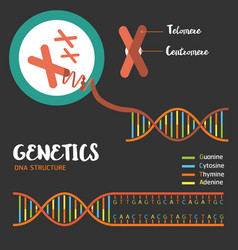 Periodic table of element showing electron shells Vector Image