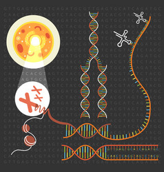 Periodic table of element showing electron shells Vector Image
