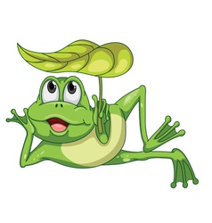 Green frog on white background Royalty Free Vector Image