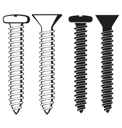 Screws Royalty Free Vector Image - VectorStock