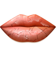 Lip makeup cosmetics realistic frame Royalty Free Vector