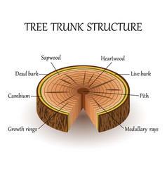 Atmosphere Royalty Free Vector Image - VectorStock