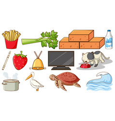 Cute cartoon cat wearing a bell around its neck Vector Image