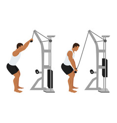Man doing cable triceps kickbacks exercise Vector Image