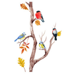 Fall trees and birds pattern Royalty Free Vector Image