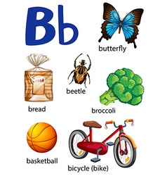 Things that start with letter b Royalty Free Vector Image
