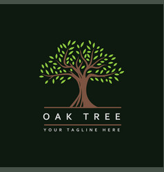 Moss plant with roots Royalty Free Vector Image