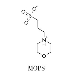 Bicine buffering agent molecule skeletal formula Vector Image