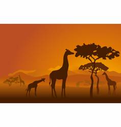 Safari Royalty Free Vector Image - VectorStock