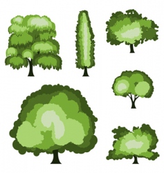 A tall tree Royalty Free Vector Image - VectorStock
