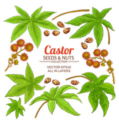 Sesame set Royalty Free Vector Image - VectorStock