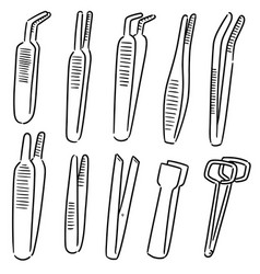 Set of forcep alcohol and sterile cotton Vector Image