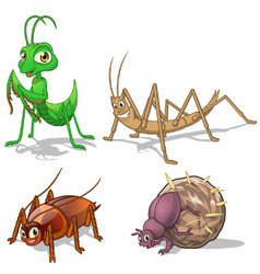 Insect cartoon character pack five Royalty Free Vector Image